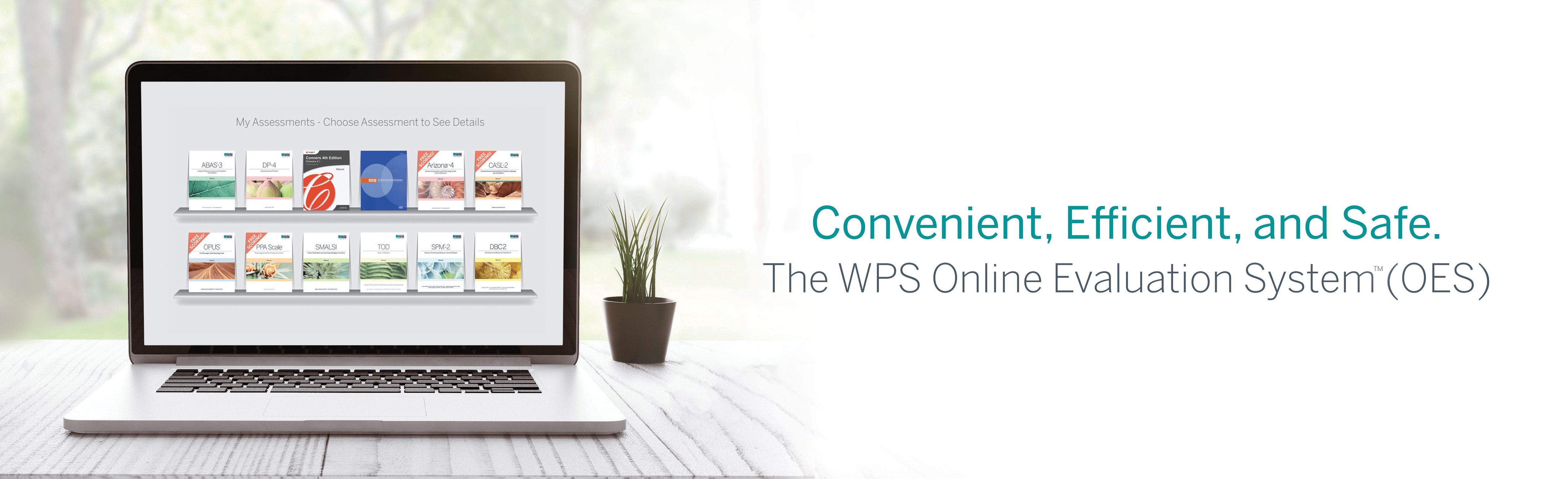 WPS Online Evaluation System (OES) Updates